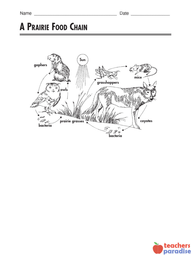 A Prairie Food Chain by Harcourt Achieve Inc VTP | PDF | Chess Openings ...