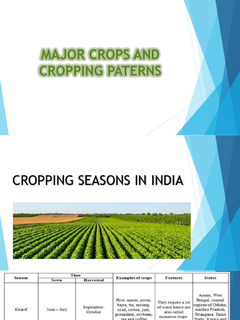 Major Crops and Cropping Pattern | PDF | Legume | Crop Rotation