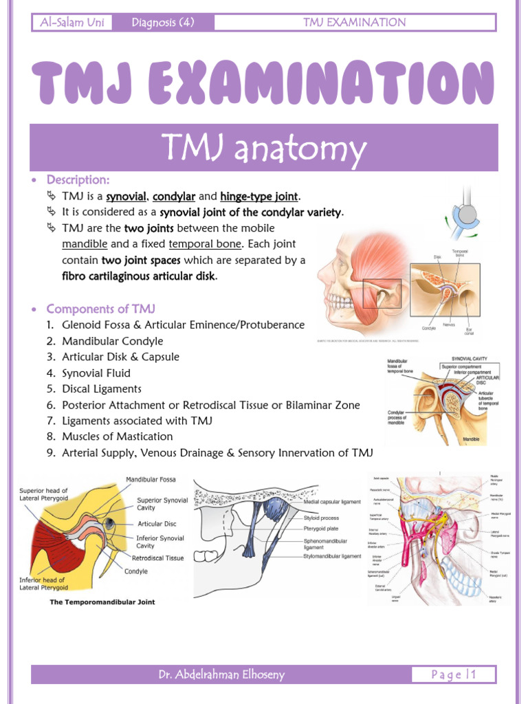 Lecture (4) - Diagnosis - TMJ Examination | PDF | Primate Anatomy ...