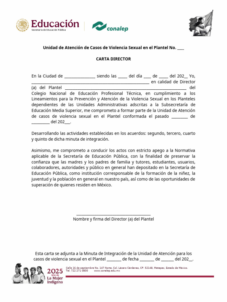 Carta Director 2025 | PDF