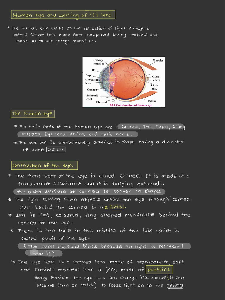 Lense | PDF | Eye | Retina