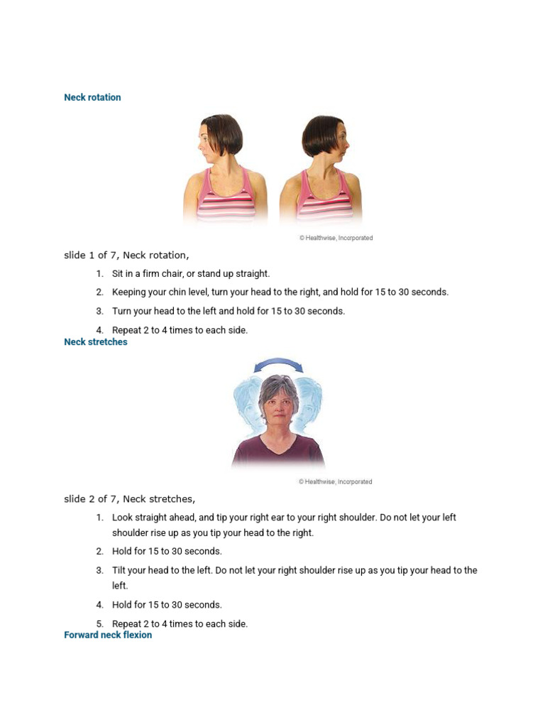 Neck | PDF