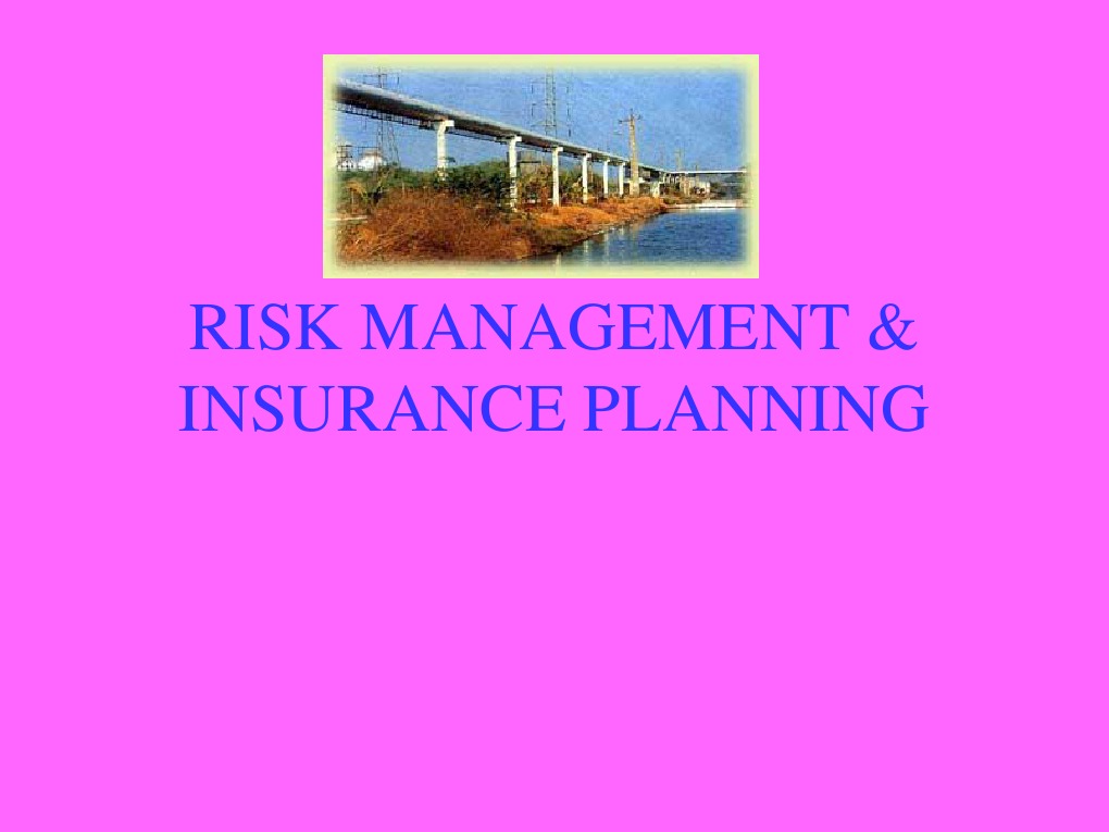 Risk Management & Insurance Strategies | PDF