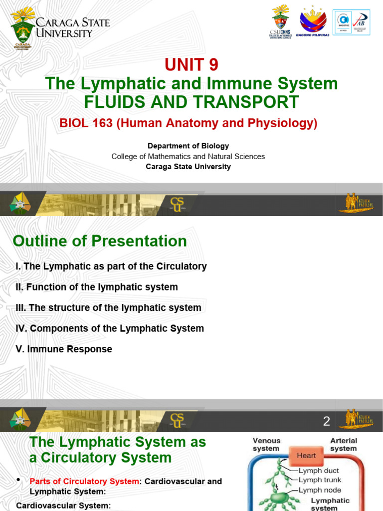 BIOL-163-Unit-9-Lymphatic-and-Immune-System | PDF | Lymphatic System | Lymph