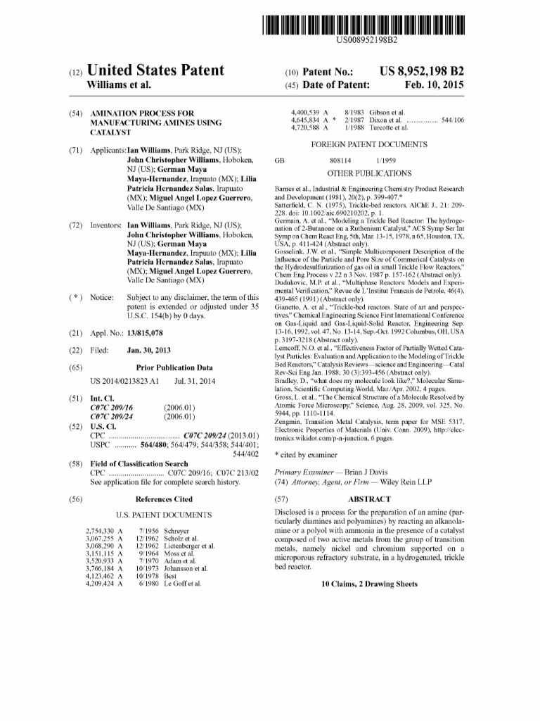 Amination Process For Manufacturing Amnesusing | PDF | Catalysis | Ammonia