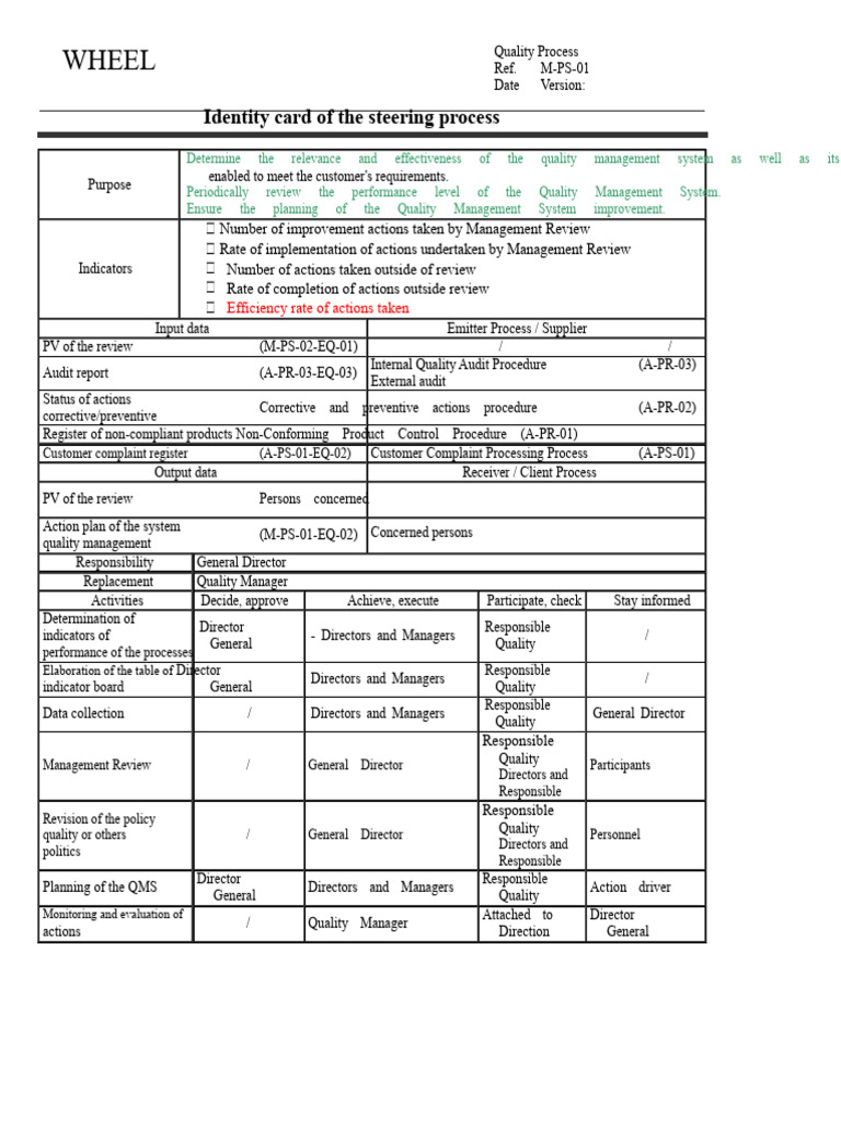 Identity Card of the Steering Process | PDF | Audit | Quality Management