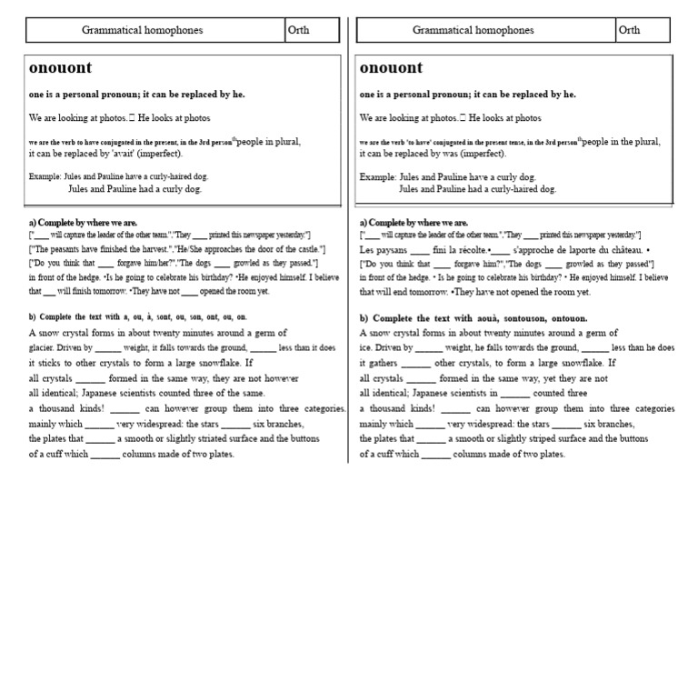 Lesson - Exercises-They Have | PDF | Language Mechanics | Languages