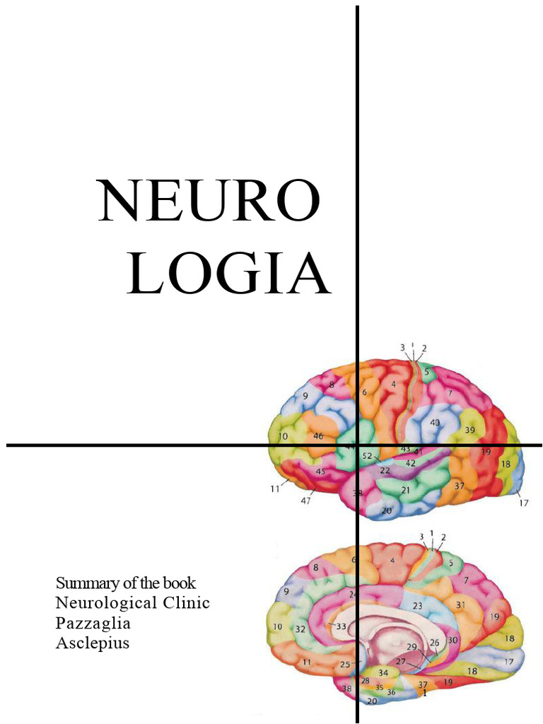 Neurology_summary | PDF | Neurotransmitter | Spinal Cord