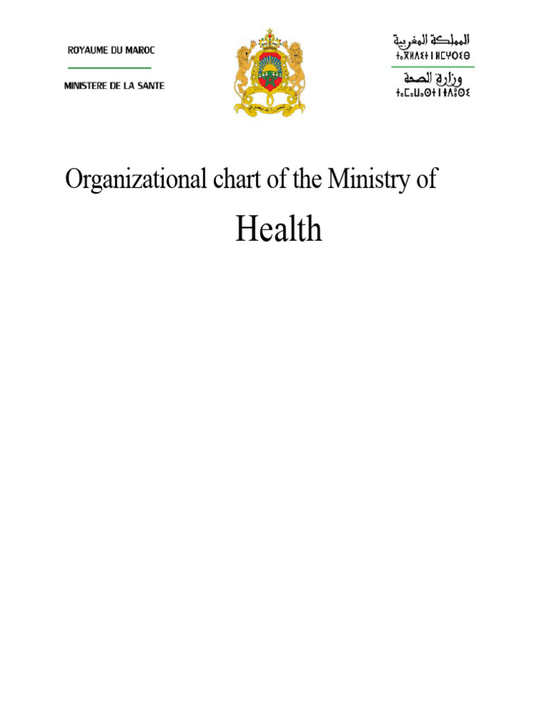 Ministry of Health Organizational Chart | PDF | Epidemiology | Health Care