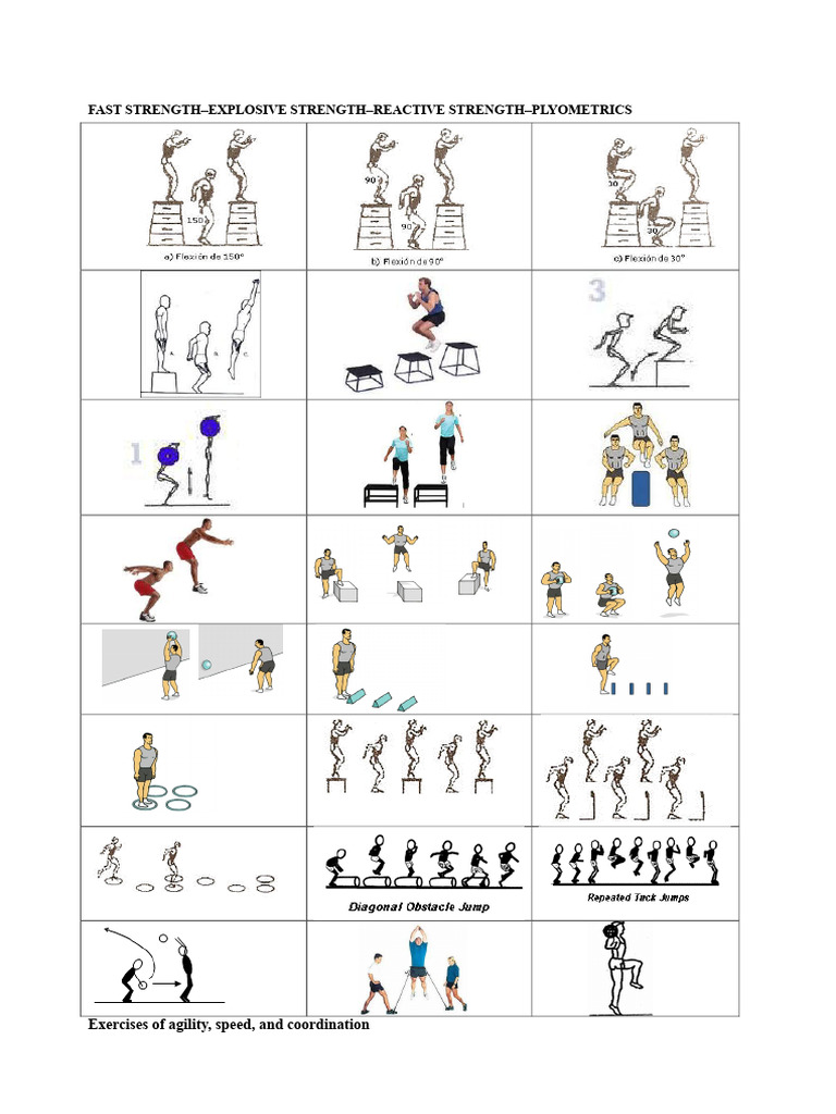 Gym Exercises | PDF