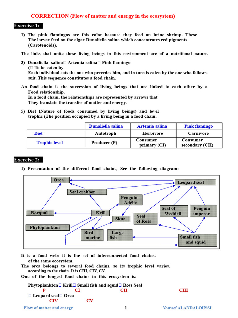 11 flow of Matter and Energy in the Ecosystem Corrected Exercise Series 1 | PDF | Food Web ...