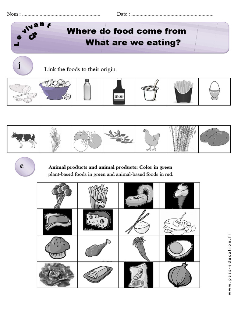 Foods We Eat CP - Exercises - Discovery of The World - Cycle 2 | PDF
