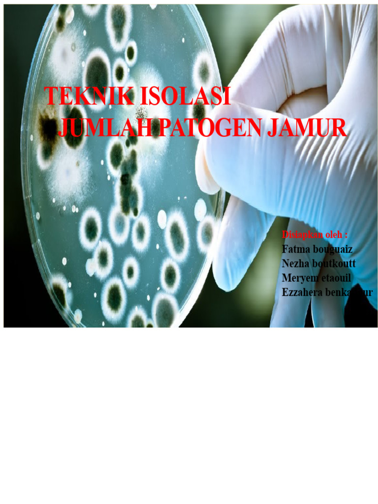 Teknik Isolasi dan Identifikasi Jamur | PDF