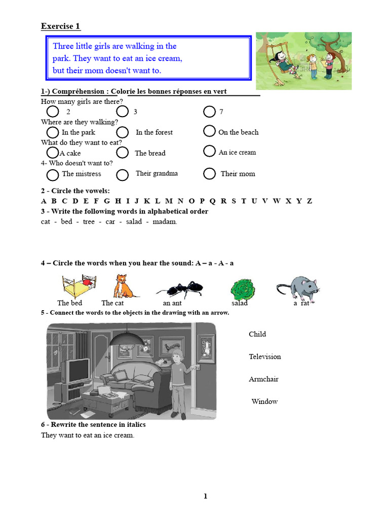 Revision notebook 3AP.pdf | PDF | Reading Comprehension