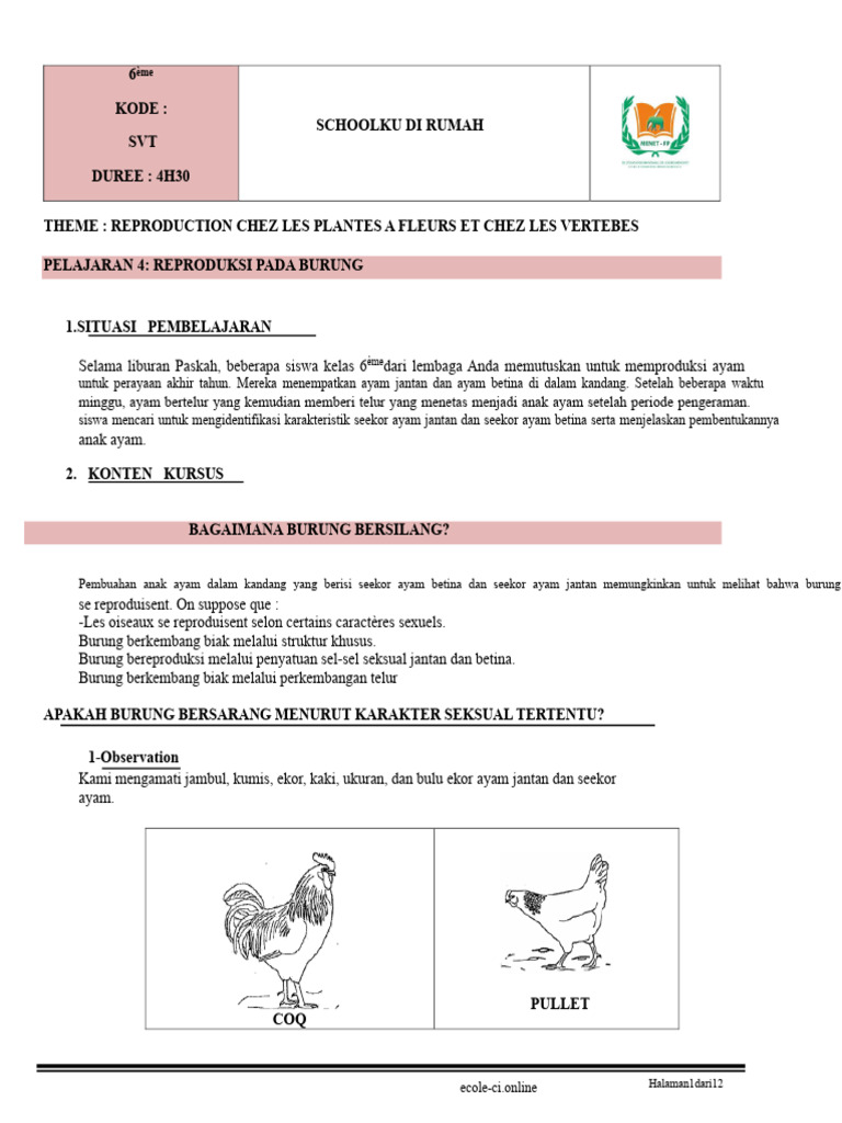 Reproduksi Burung: Ayam Jantan dan Betina | PDF