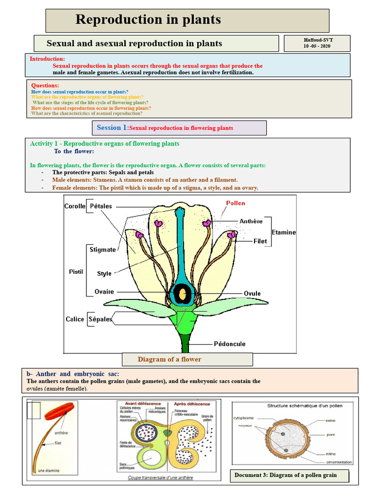 Plant Reproduction: Sexual and Asexual Methods | PDF | Plant ...