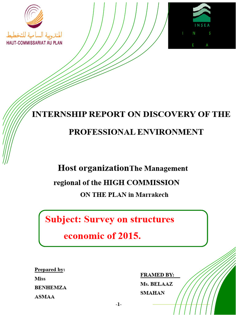 Internship Report On Discovery Within The HCP. | PDF | Fixed Capital ...