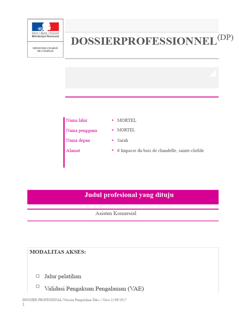 Dossier Pro - Ascom | PDF