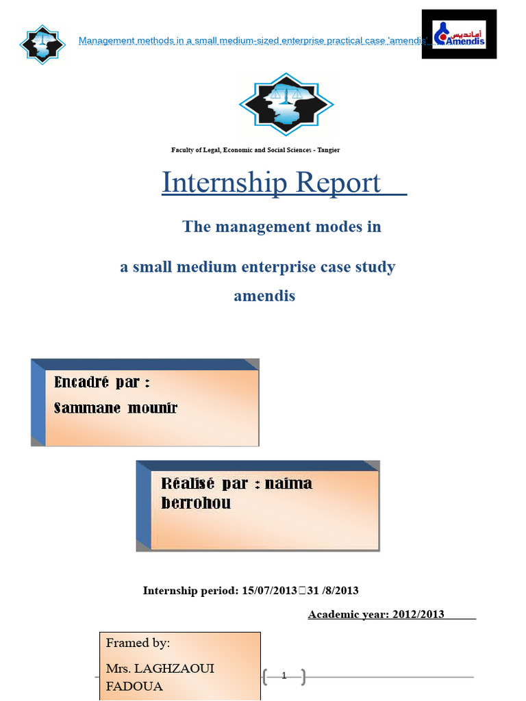 Internship Report Amendis (Automatically Recorded) 22 | PDF | Personal ...