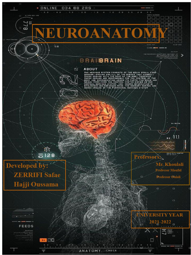 Overview of Neuroanatomy and Spinal Cord | PDF | Spinal Cord | Central ...