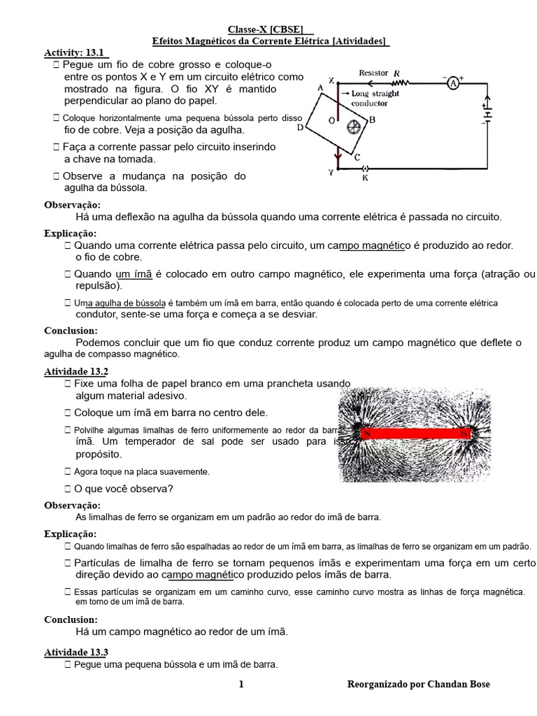 Atividades_Efeitos magnéticos da corrente elétrica | PDF | Campo ...