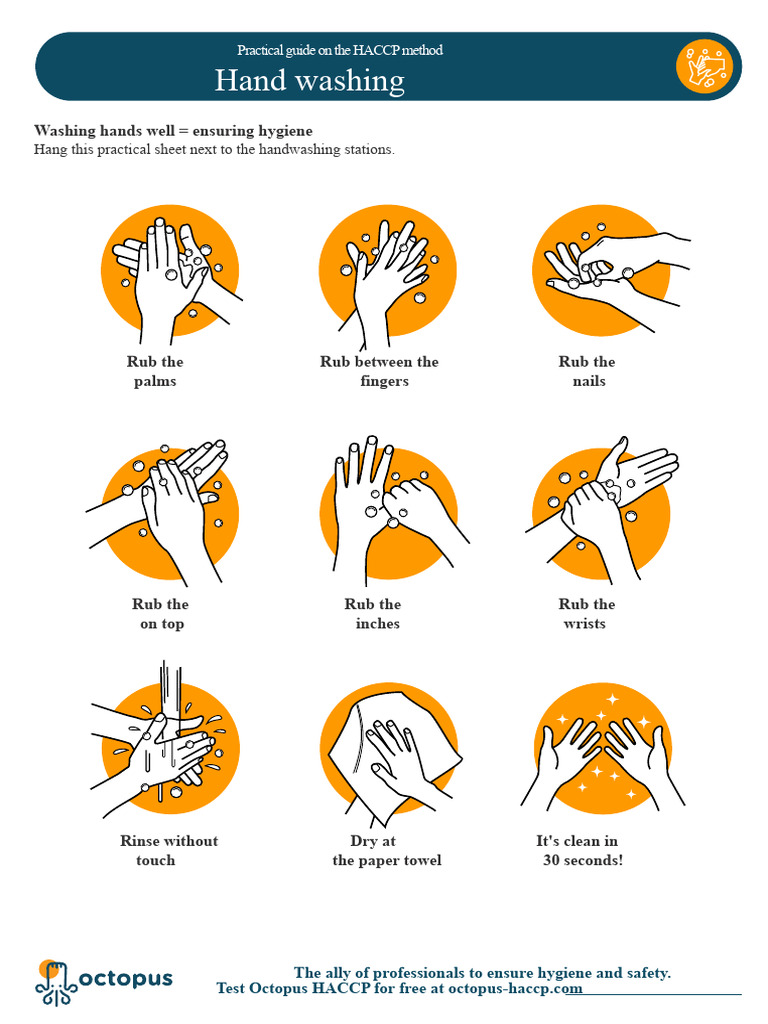 Effective Hand Washing Guide | PDF