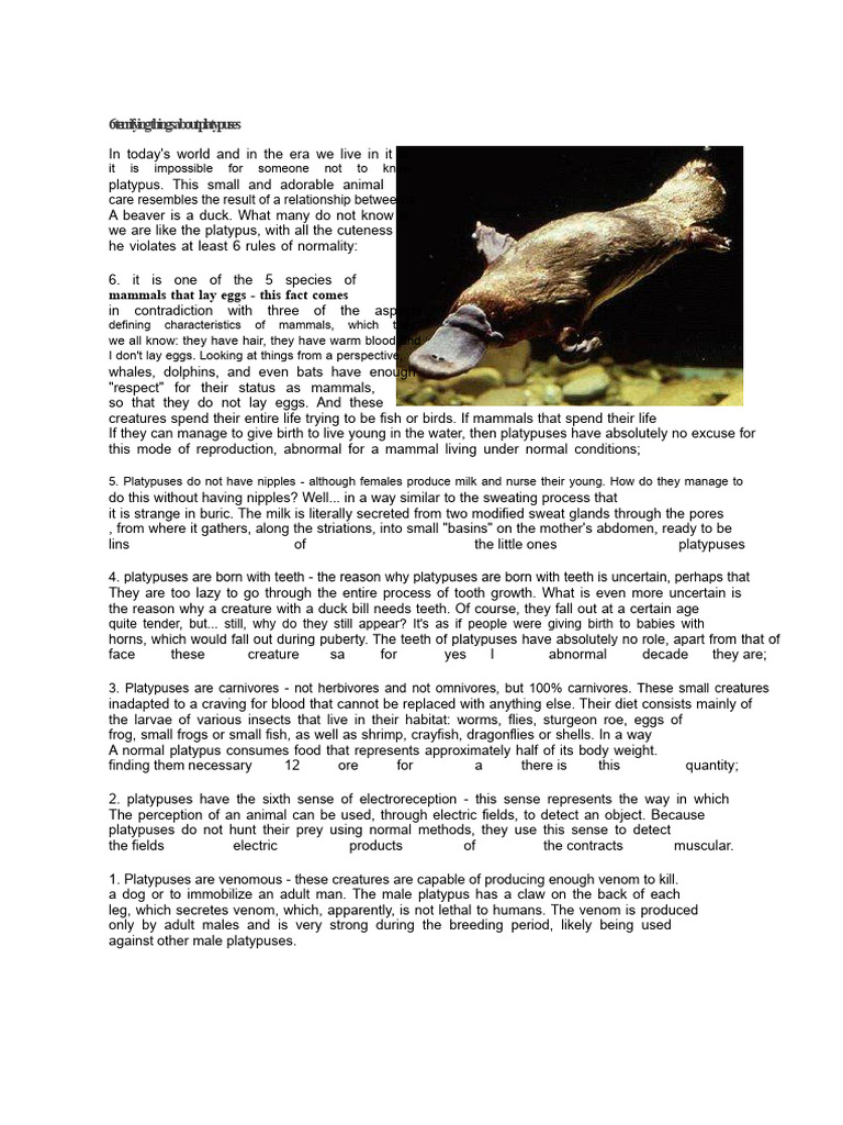 Platypuses | PDF | Rhinoceros | Meerkat