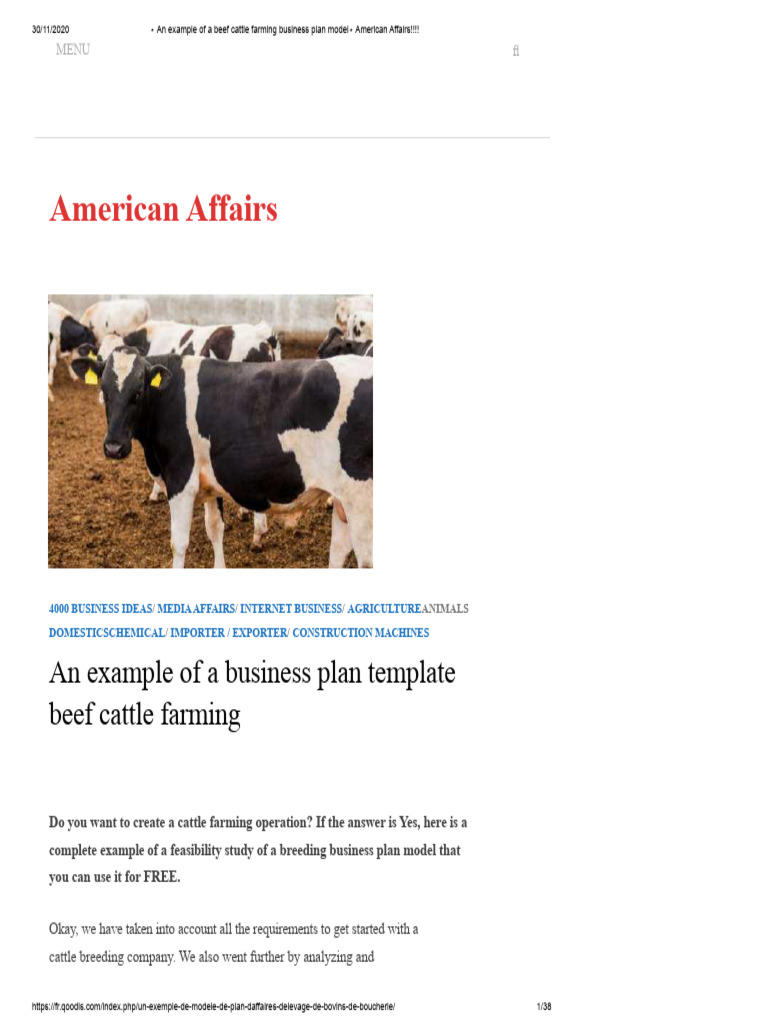 Beef Cattle Farming Business Plan Guide | PDF | Cattle | Agriculture