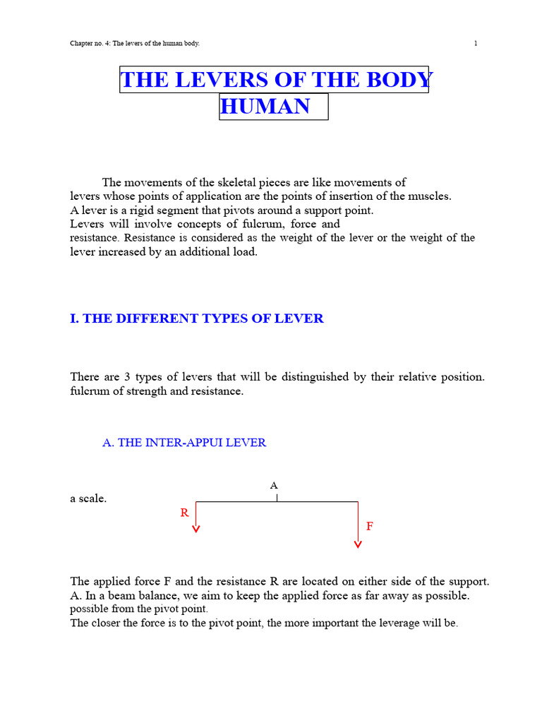 The levers of the human body (chapter 4).doc | PDF | Lever | Kinematics