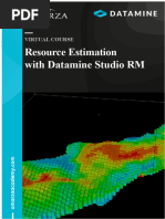 Datamine Studio RM Manual | PDF | Data Mining | Topography