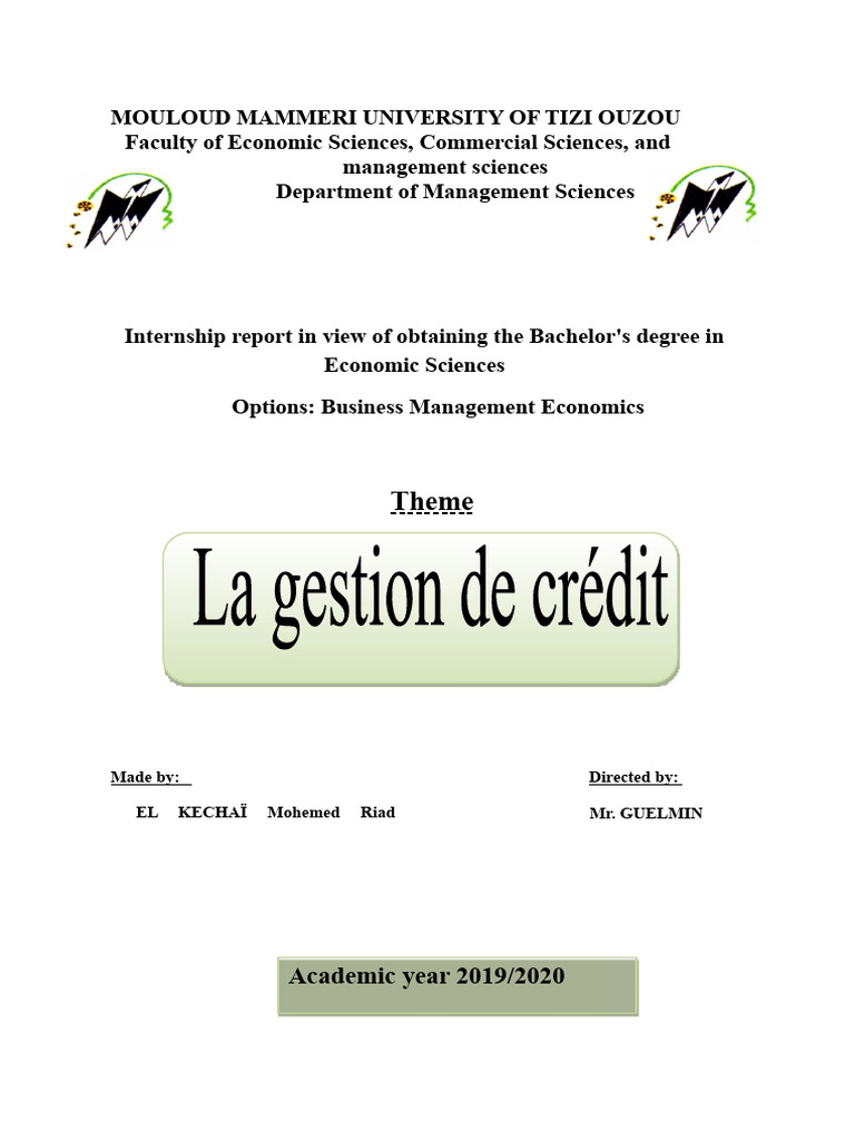Bank Credit Management and Risks | PDF | Guarantee | Credit
