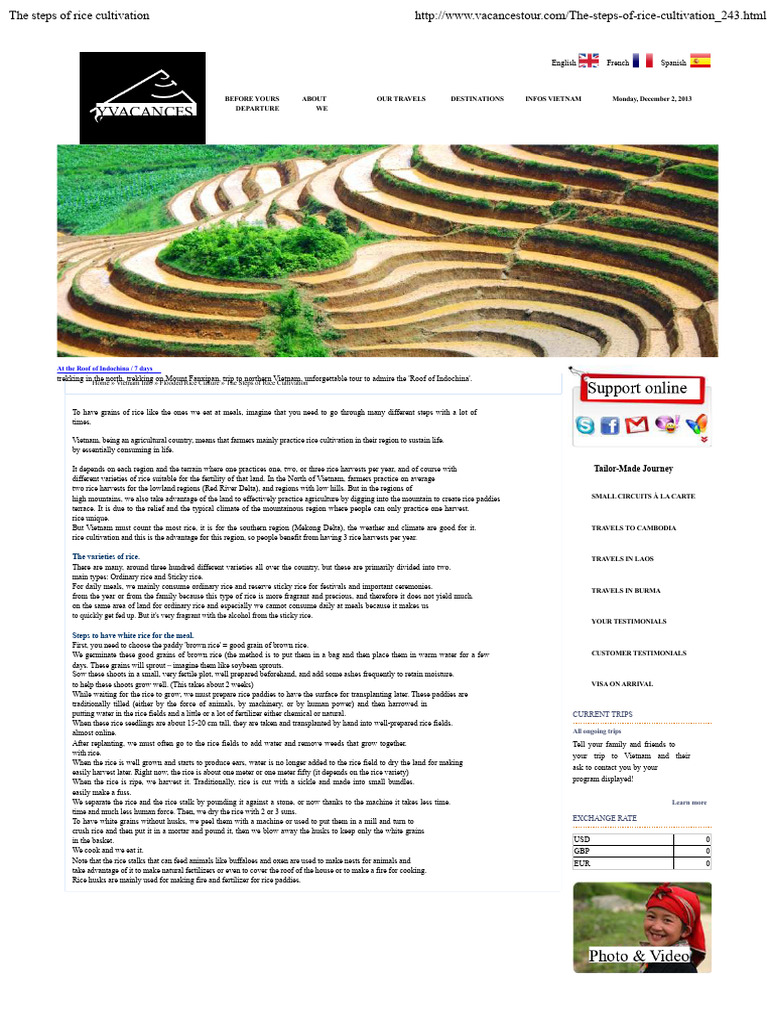 The stages of rice cultivation | PDF | Rice | Paddy Field
