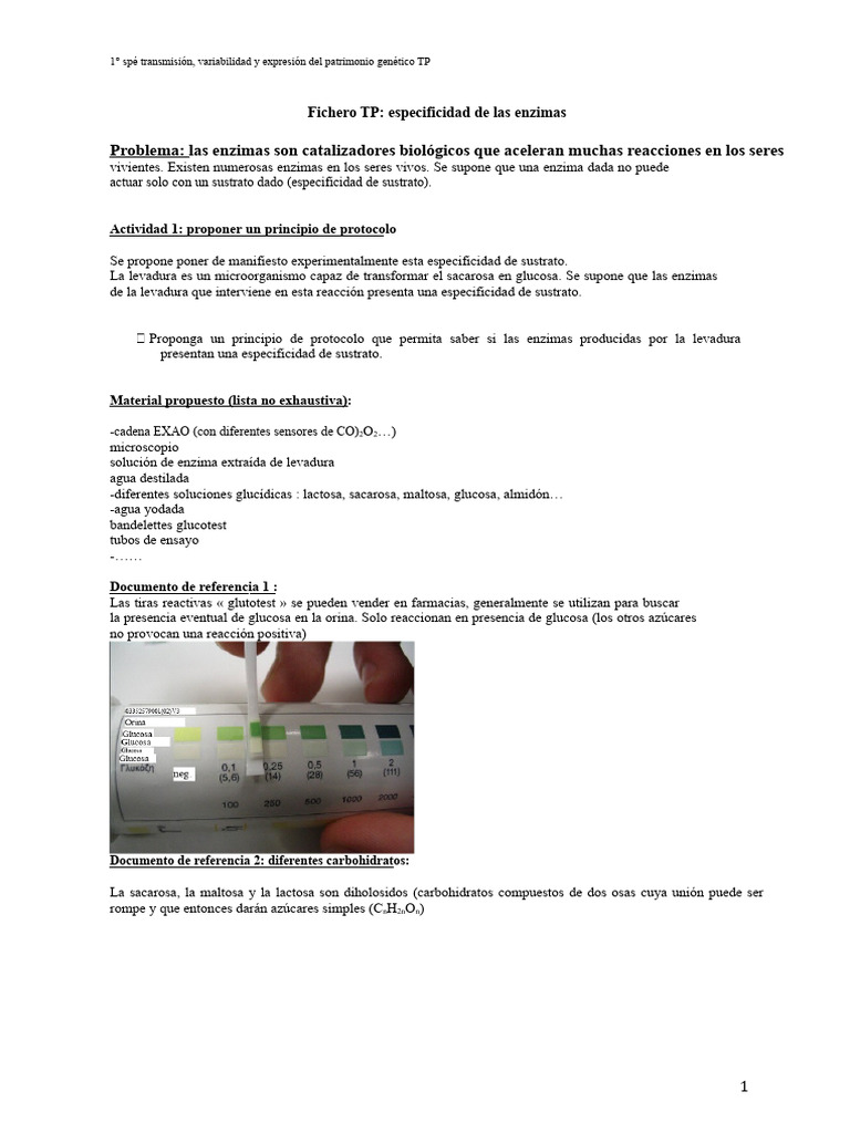 Especificidad Enzimática | PDF | Enzima | Glucosa