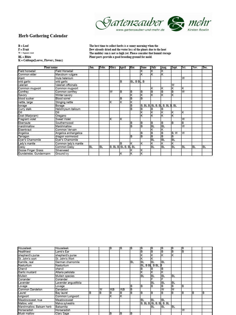 Herb Gathering Calendar Guide | PDF | Herbs And Spices | Botany