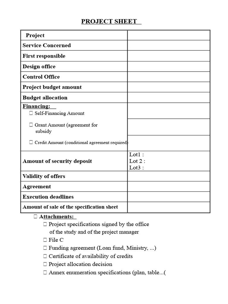 Project Sheet | PDF