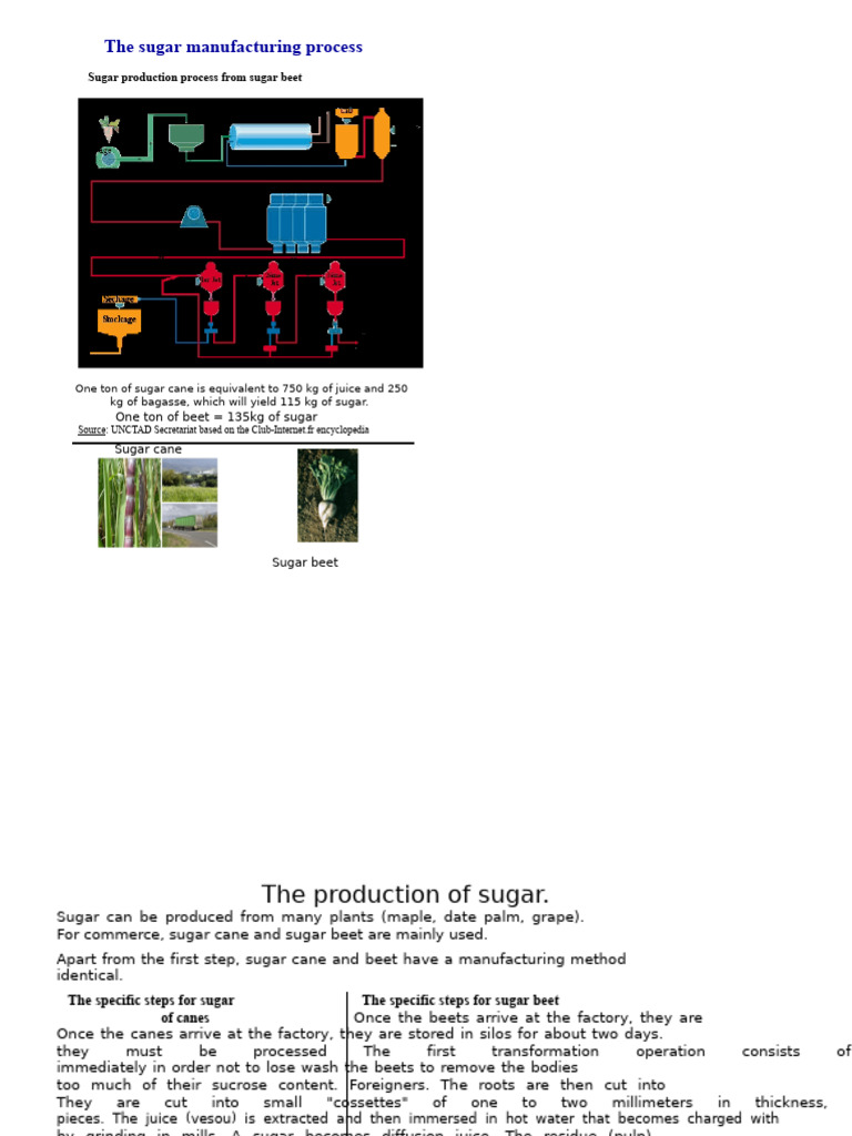 The Sugar Manufacturing Process | PDF | Sugarcane | Sugar