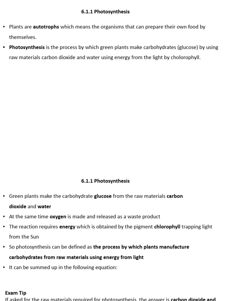 Ch-6 Plant Nutrition.ppt | PDF | Photosynthesis | Carbohydrates