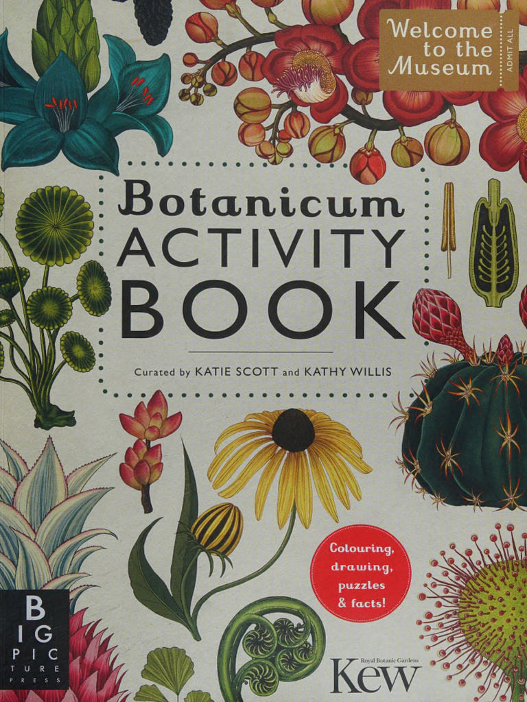 Rainforest Plant Activities Guide | PDF | Rainforest | Organisms