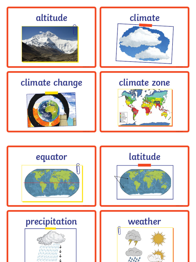 Key Vocabulary Cards | PDF | Forests | Tropics