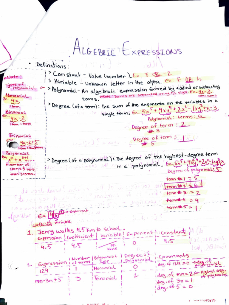 Grade 9 Unit 5 Summary | PDF