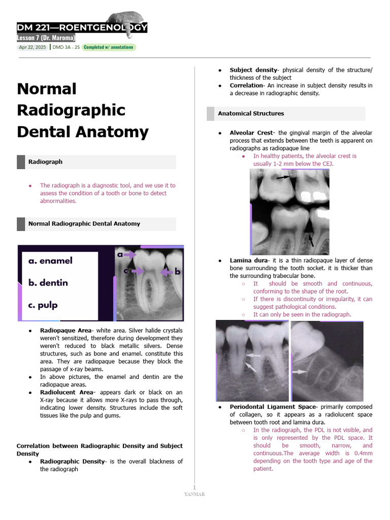 Understanding Dental Radiographic Anatomy | PDF | Human Tooth | Dental ...