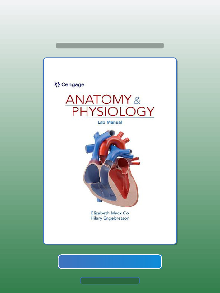 Test Bank For Anatomy and Physiology Lab Manual 1st Edition Elizabeth ...