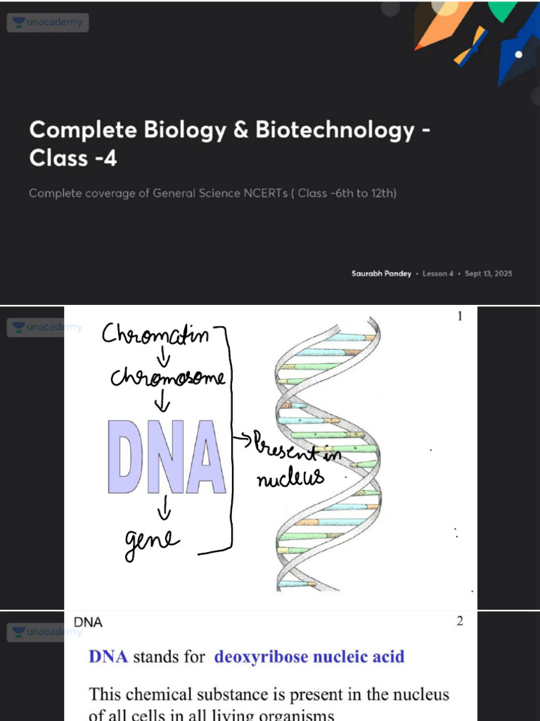 DNA | PDF