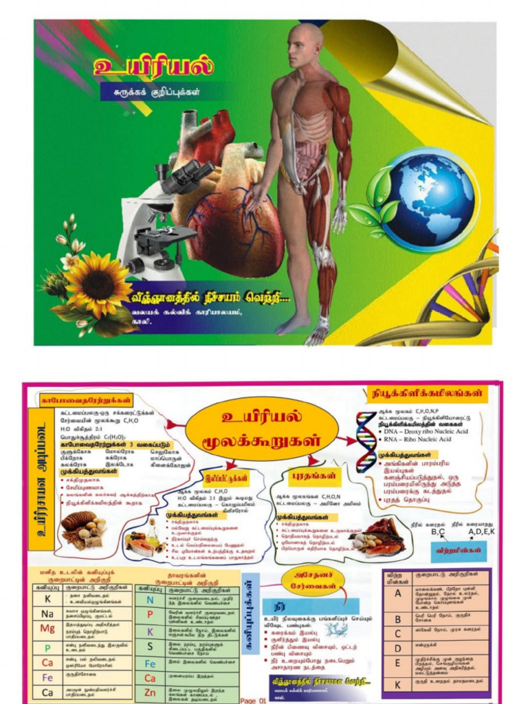 Science gr10 Energy Boost Test | PDF