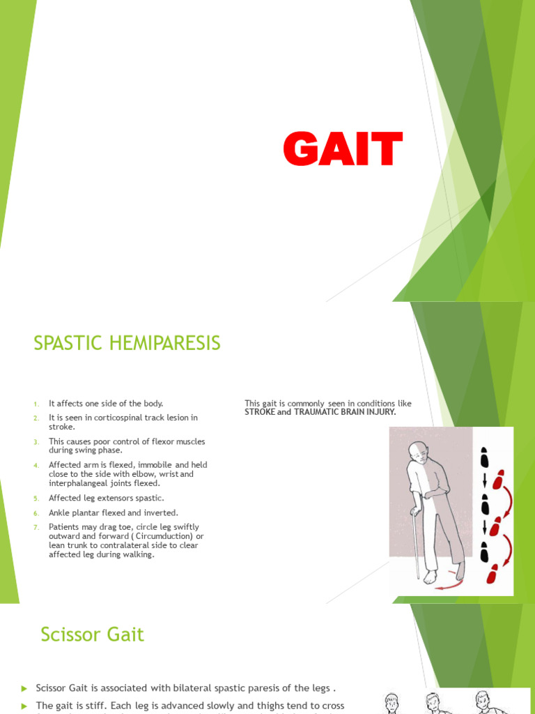 GAIT | PDF | Foot | Anatomical Terms Of Motion