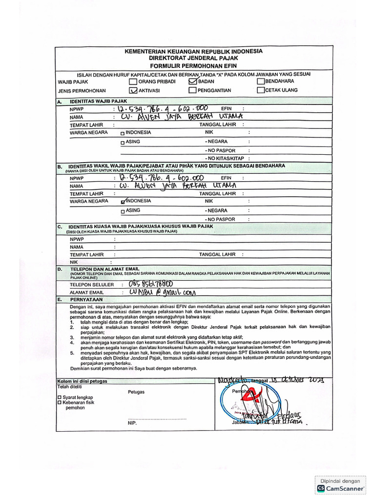 Form Efin | PDF