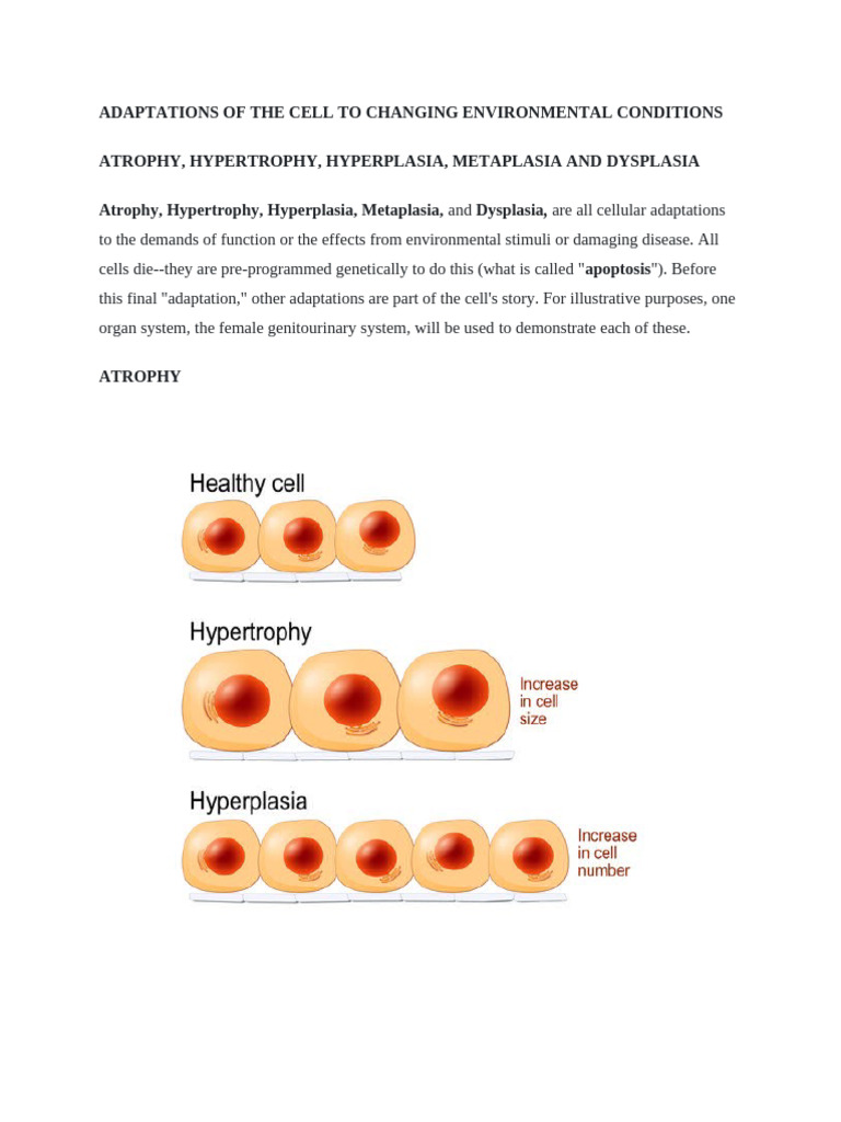 Cellular Adaptations to Environmental Changes | PDF | Neoplasms ...