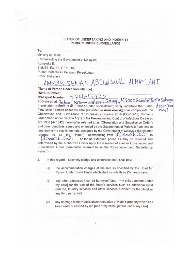 Letter of Undertaking and Indemnity | PDF