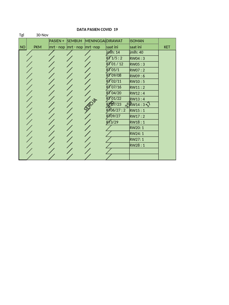 Data Pasien 30 Nop Revisi | PDF