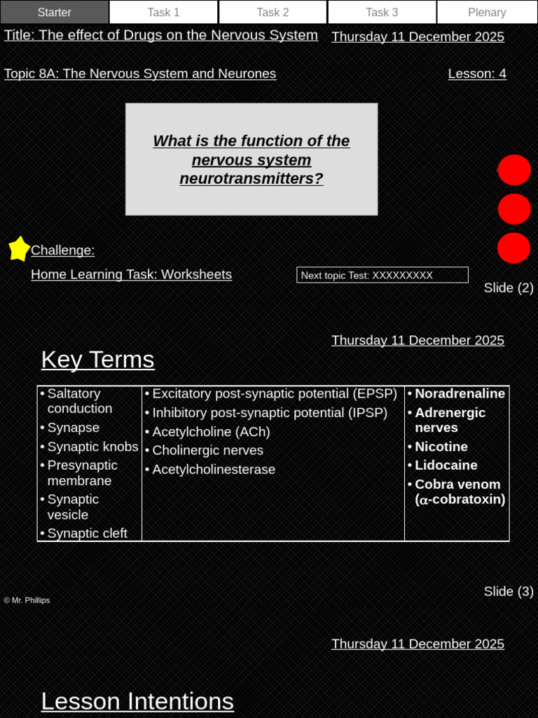 Impact of Drugs on Nervous System | PDF | Chemical Synapse | Synapse